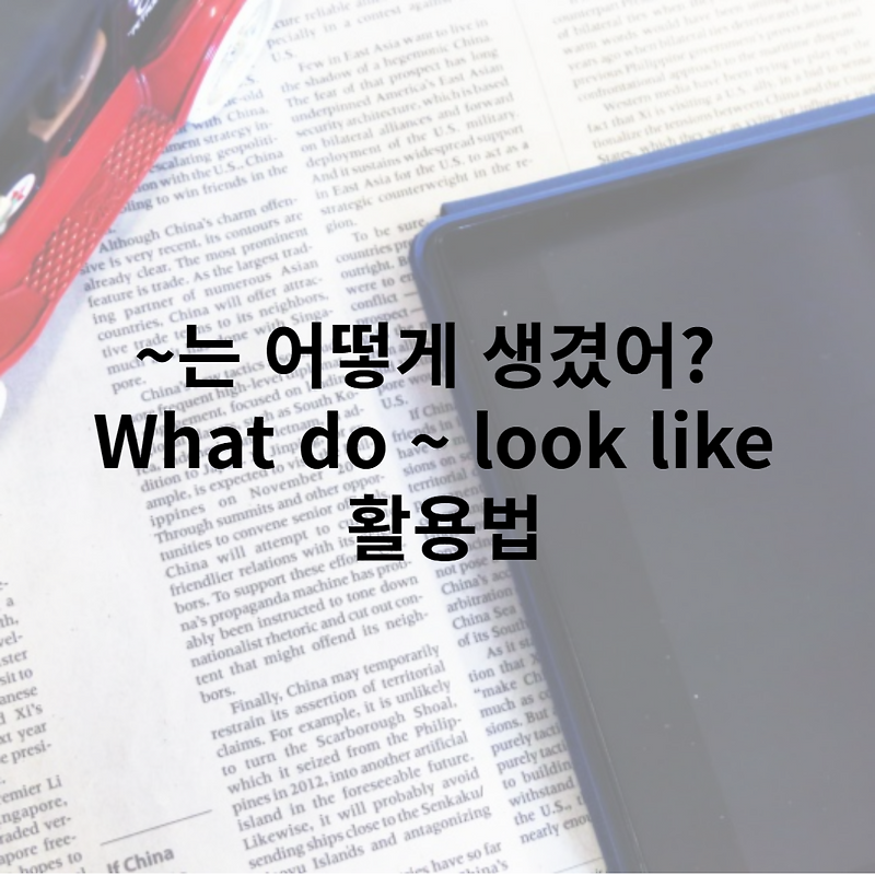 외모나 생김새를 물을 때 사용하는 What does she look like? 표현 익히기