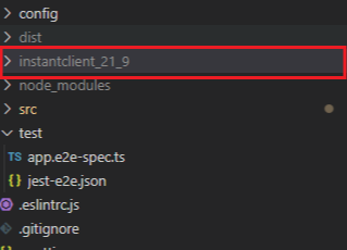 [NodeJS] NestJs Oracle DB 연결하기