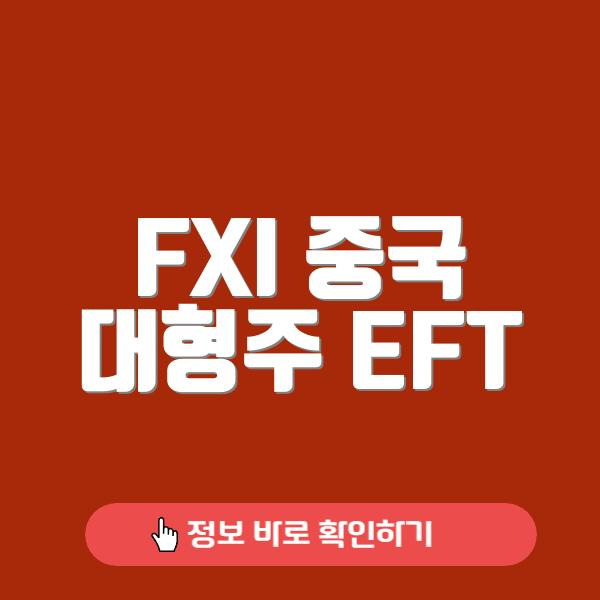 FXI 중국 대형주 EFT 텐센트 알리바바 징동닷컴 미국주식
