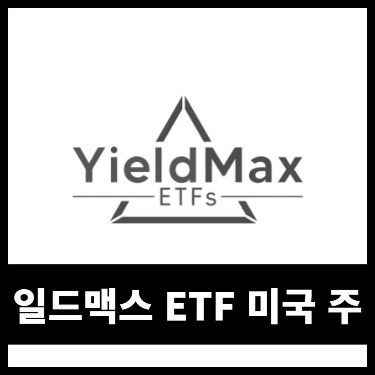 일드 맥스 (YieldMax ETFs) 월배당 ETF