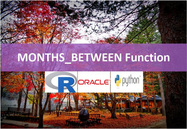 MONTHS_BETWEEN 오라클 함수 [Oracle, Pandas, R Prog, Dplyr, Sqldf, Pandasql, Data.Table, DuckDB]