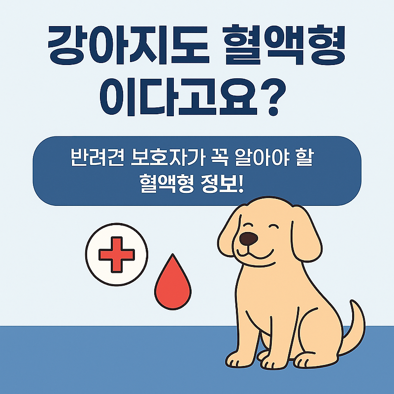 “강아지도 혈액형이 있다고요? DEA 1.1부터 헌혈까지 총정리"