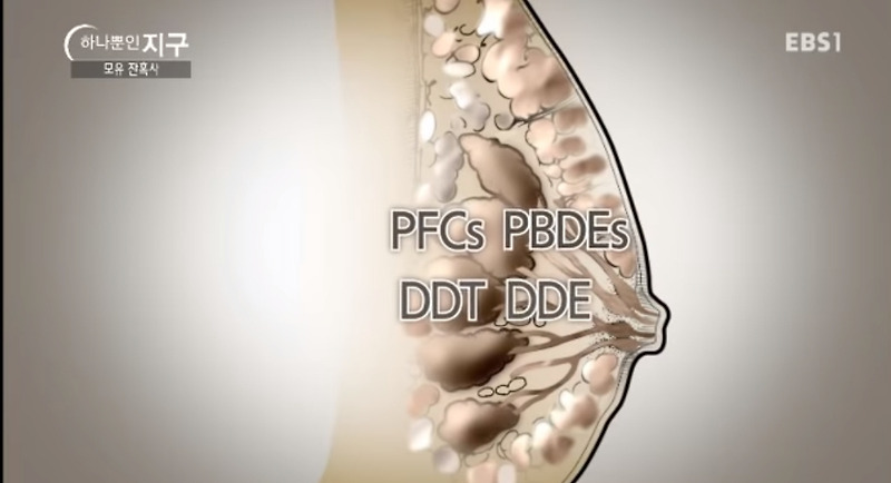 모유 잔혹사(EBS 하나뿐인 지구)
