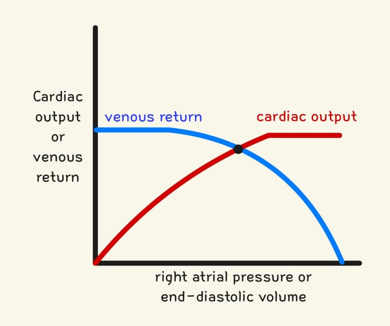 Cardiac function curve 와 Vascular function curve | cardiac out의 조절 기전