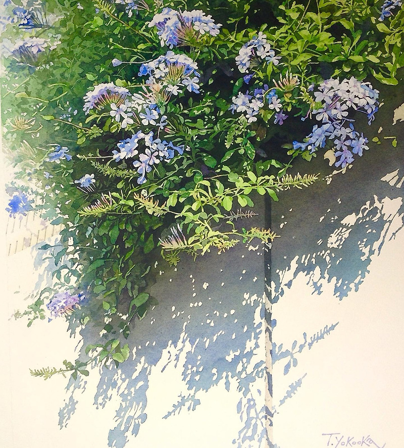 Maia Wright - Do yourself a favor