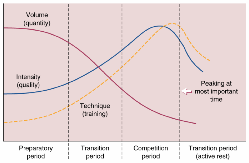 [팀 훈련 주기화 1시즌 고려사항 (Periodized Training Plan)]