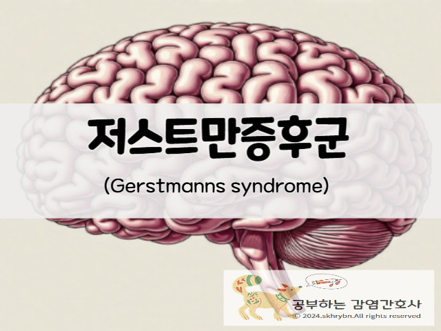 아동간호_저스트만, 거스트만 증후군(Gerstmanns syndrome)의 원인, 증상, 치료법, 간호진단