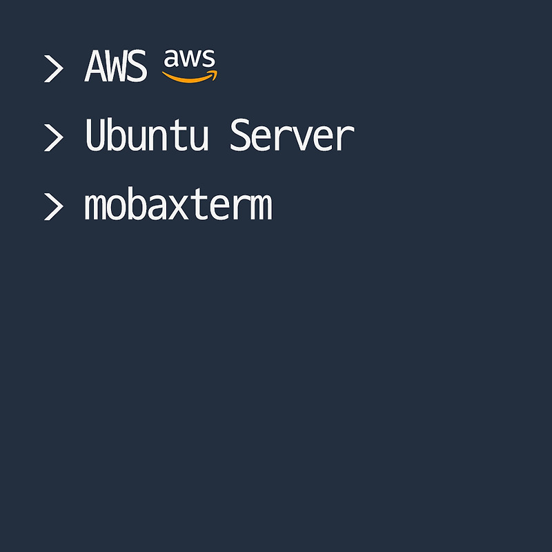 [AWS] Ubuntu Server, mobaxterm — Bible, Lee, Data
