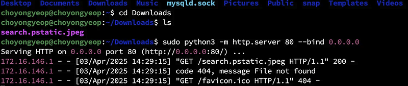 sudo python3 -m http.server 80 접속 오류 :: 브랜든의공부방