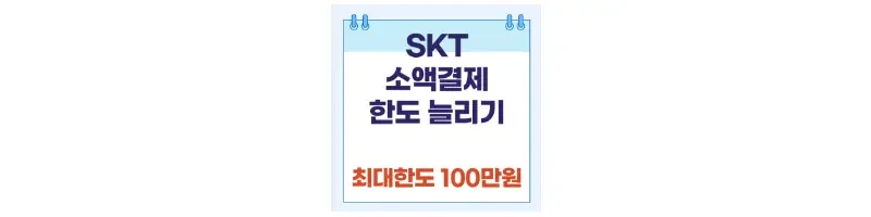 SKT 소액결제 한도 100만원 늘리기