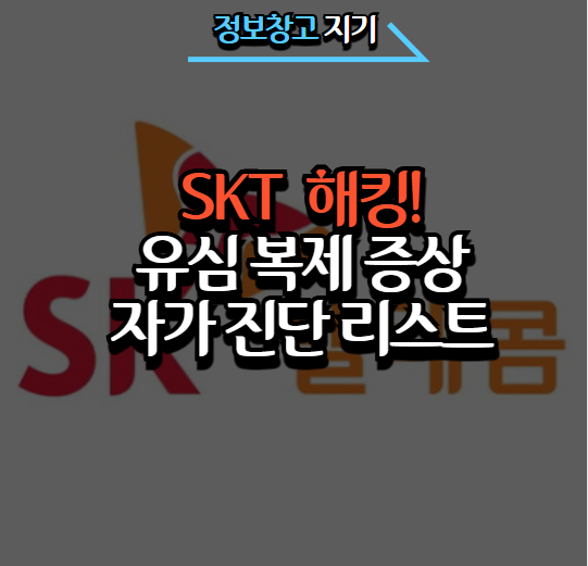 SKT 해킹! 유심 복제 증상과 자가 진단 리스트 확인 방법 - 정보창고
