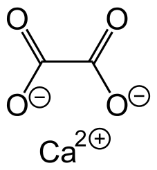 소변 중에서 옥살산칼슘(CaC2O4)의 용해도는 9×10^(-5) M