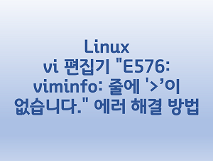 [Linux] vi 편집기 "E576: viminfo: 줄에 '>'이 없습니다." 에러 해결 방법 — bonoDev
