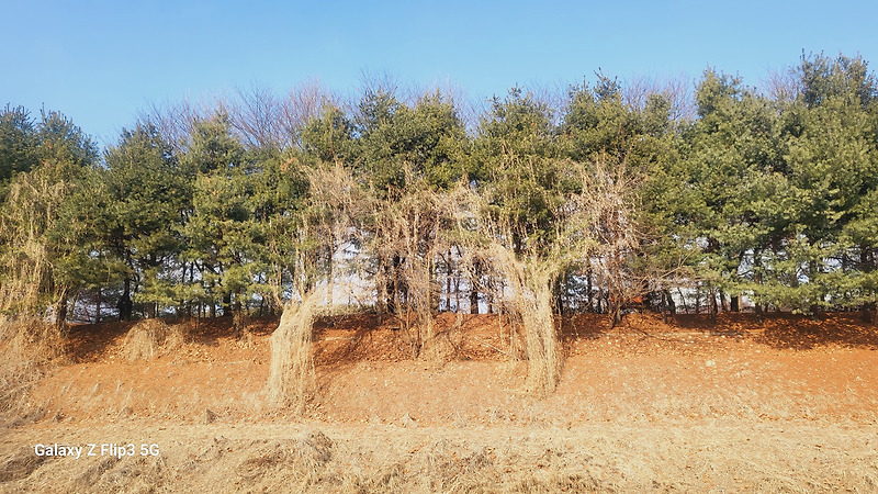 "Profit Lesson" by Adrian Slywotzky