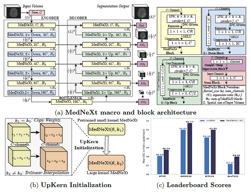MedNeXt: Transformer-driven Scaling of ConvNets for Medical Image ...