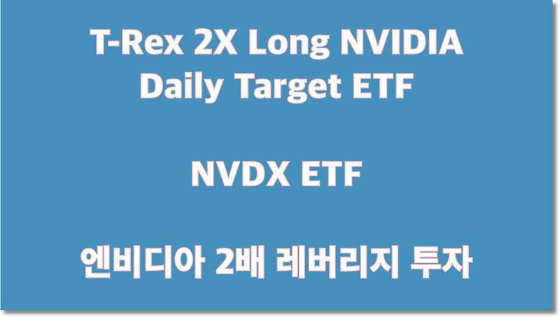 NVDX ETF - 엔비디아 2배 레버리지 투자