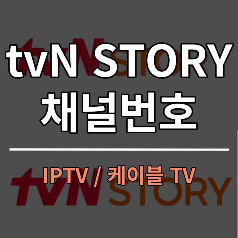 tvN STORY 채널번호ㅣ케이블 IPTV 안내