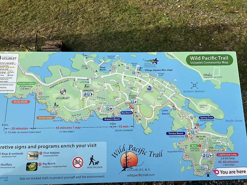 wild pacific trail - ucluelet
