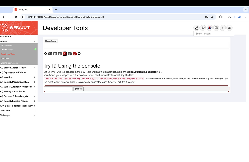 WebGoat 실습 - Developers Tools