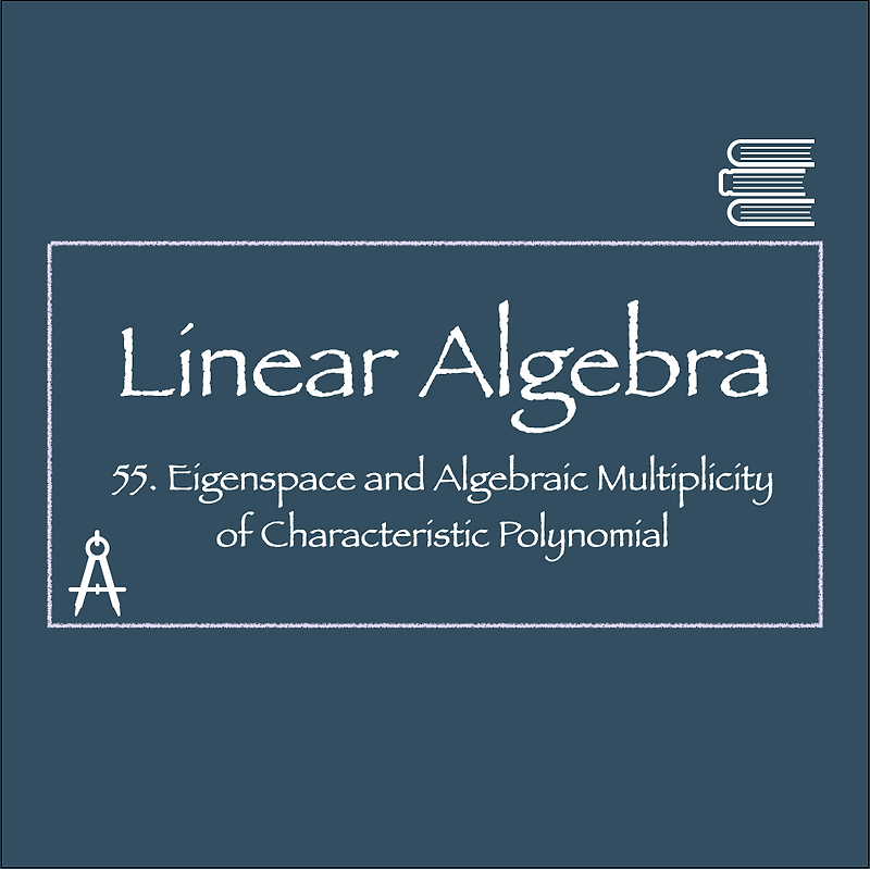 [Linear Algebra] 55. Eigenspace and Algebraic Multiplicity of ...