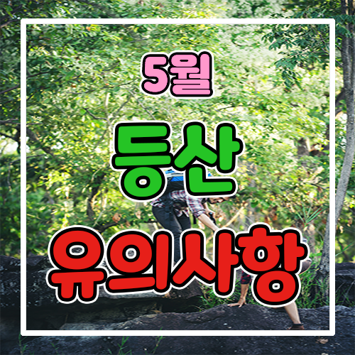 5월, 봄철 등산 유의사항에 대해 알아보자!