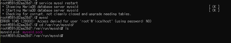 [오류]Can't connect to local MySQL server through socket '/var/run/mysqld ...