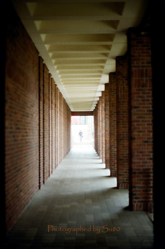 Walk, think, walk...