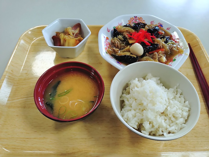 JAIST 생존일지 D+594~595(5/12~13) - 논문을 달리는 중 & 새로운 길?