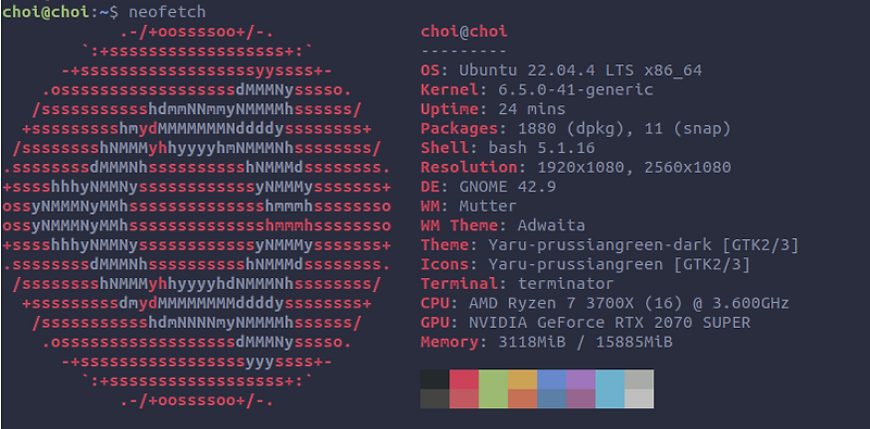 [Ubuntu] Neofetch로 주변 사람들 기강 잡는 법 — NEON MOOD