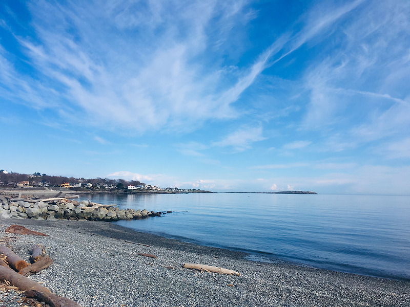 캐나다 워킹홀리데이 D+99 Ross Bay Public pebbles Beach&Clover Point&Dallas Rd ...