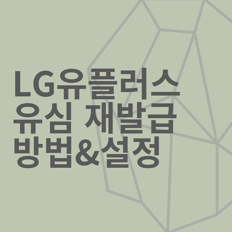 LG유플러스 유심 재발급 방법 비용 | LGU+ USIM 재발급 후 설정 방법 정리