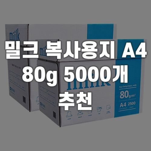 밀크 복사용지 A4 80g, 5000개 추천