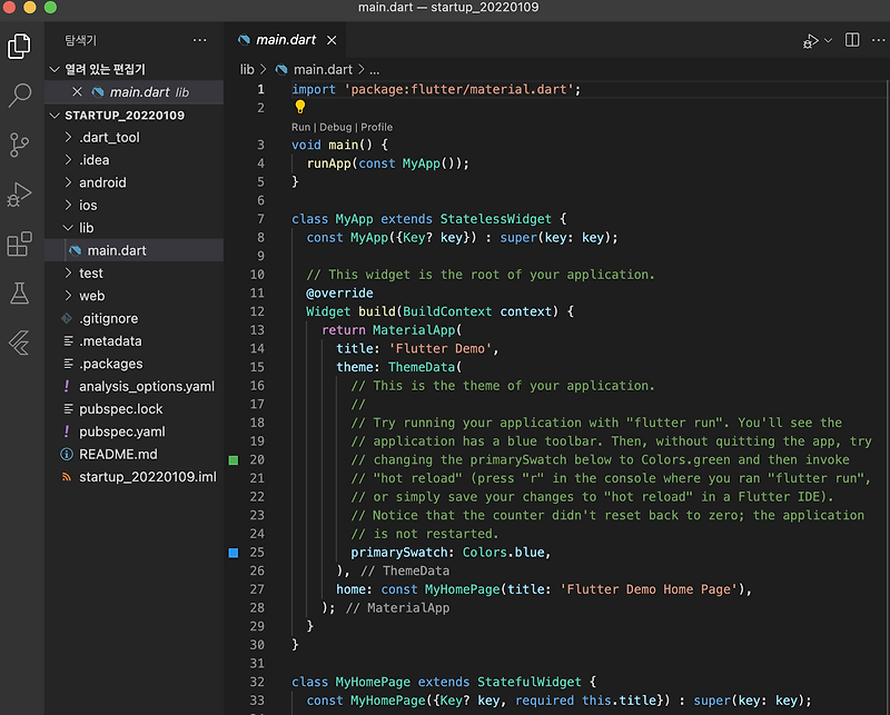 Flutter 기본 프로젝트 만들기 및 실행