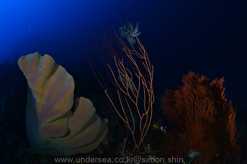 Same subject, different angle