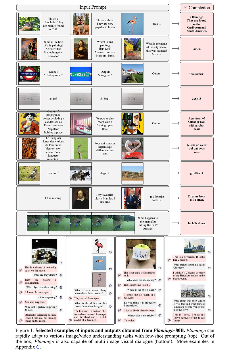 🦩 Flamingo: a Visual Language Model for Few-Shot Learning