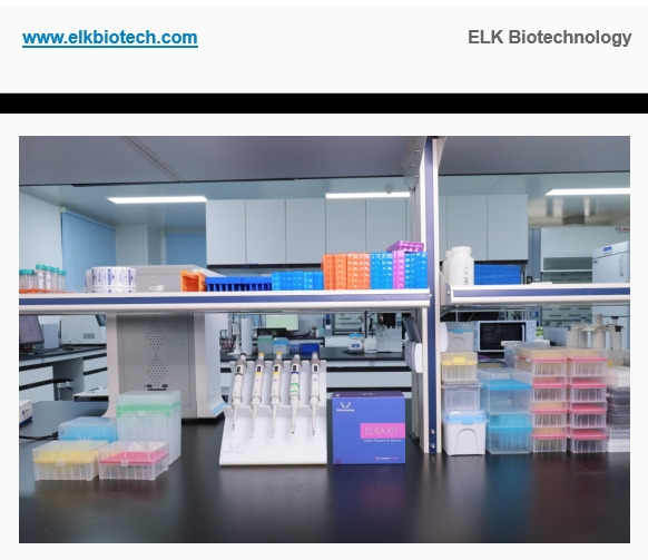 [Newsletter] ELK Biotechnology March 2025 Literature Hights: 40+High ...