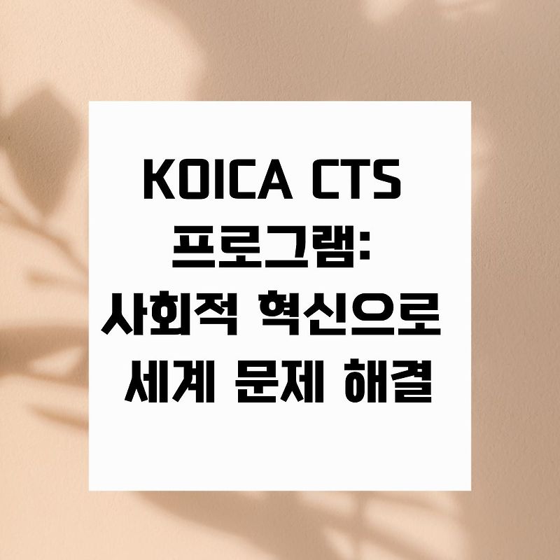 KOICA CTS 프로그램: 사회적 혁신으로 세계 문제를 해결하다 / Korea’s KOICA CTS Program: Solving Global Issues through ...