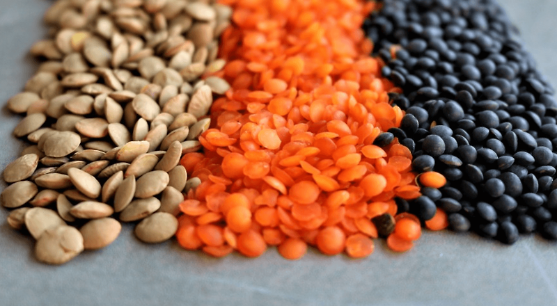 렌틸콩 효능 5가지와 부작용