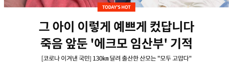 오늘의 신문, 마음이 움직이는 기사 좋아요!