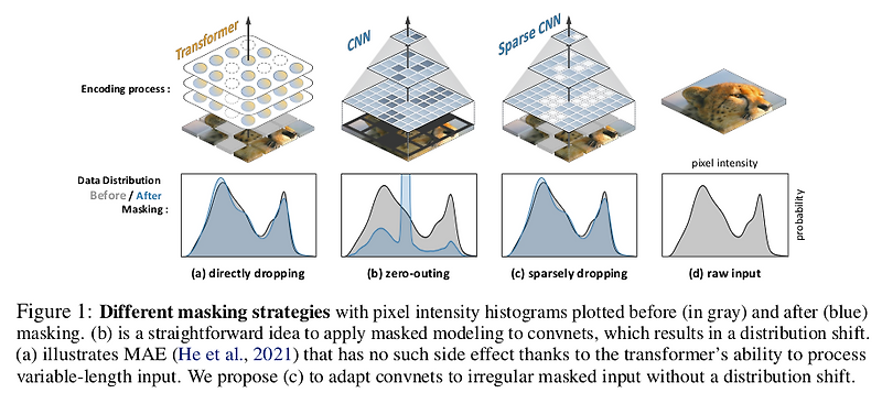 Designing BERT for Convolutional Networks: Sparse and Hierarchical Masked Modeling