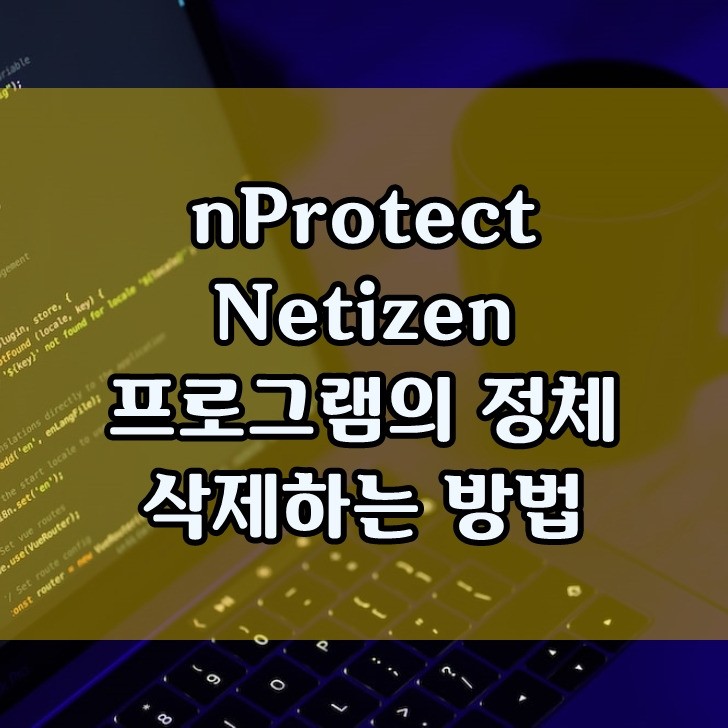 nProtect Netizen 정체가 뭐지? 지워도 상관없나요?