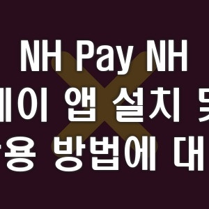 NH Pay NH 페이 앱 설치 및 활용 방법에 대한 완벽 가이드
