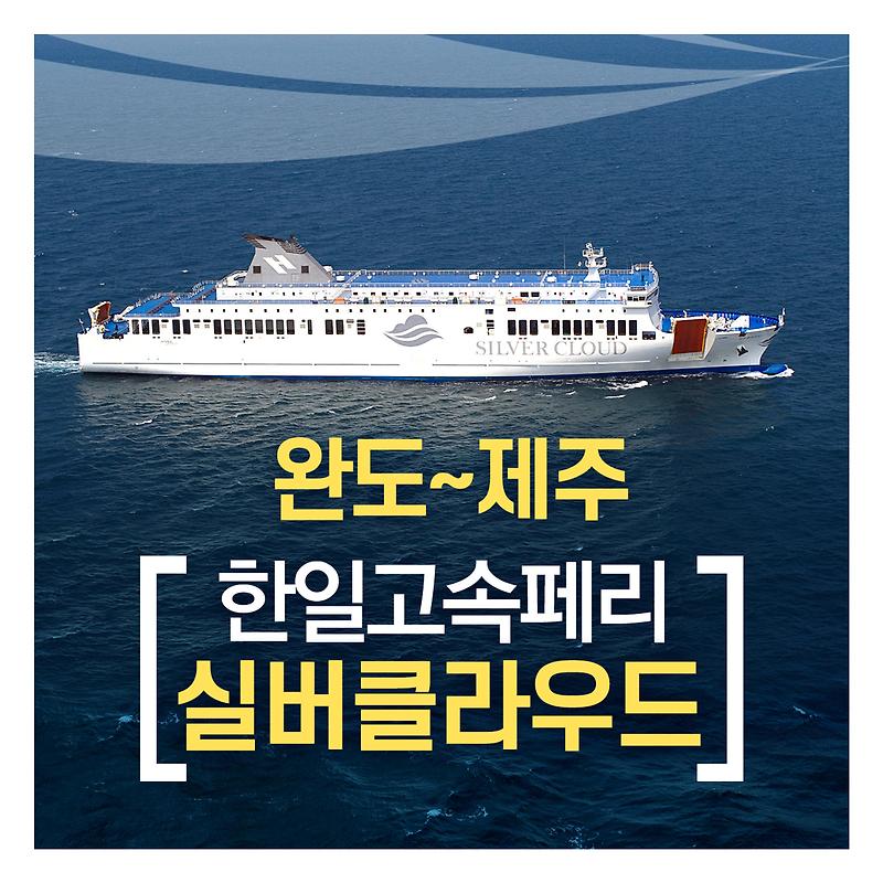 내 차 가지고 제주도 가기