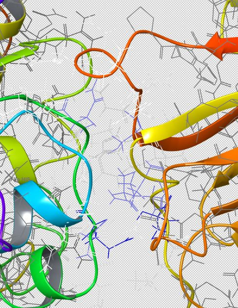 Protein structure alignment, protein-protein docking하는 요즘. 240329