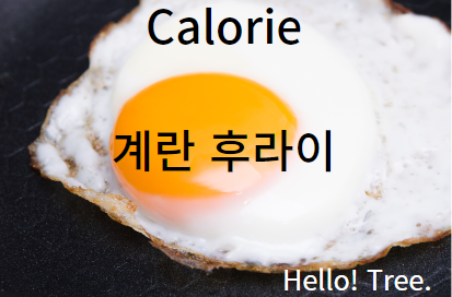 [Calorie] 계란 후라이 kcal