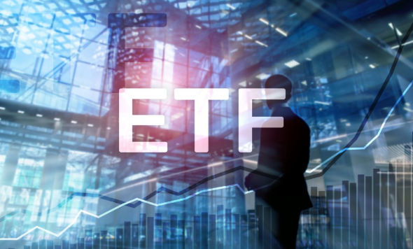 : 인기 상품과 투자 매력 탐구