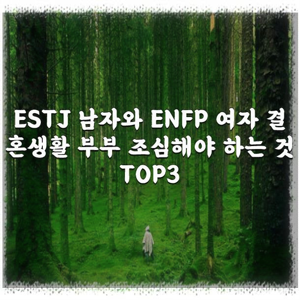 ESTJ 남자와 ENFP 여자 결혼생활 부부 조심해야 하는 것 TOP3