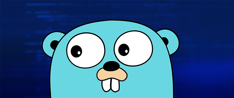 Golang (Go언어) 제네릭 프로그래밍(Generic Programming) 1/3