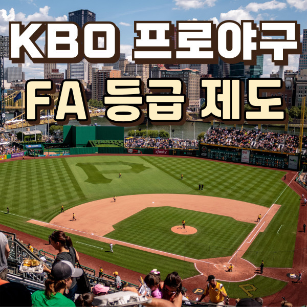 2025 KBO 프로야구 FA 등급 / 보상 제도 / 일정