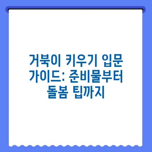 거북이 키우기 입문 가이드: 준비물부터 돌봄 팁까지